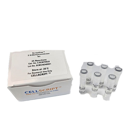 51299. SCRIPTCAP 2'-O-METHYLTRANSFERASE 25 REACTIONS - CELLSCRIPT – CTR Scientific