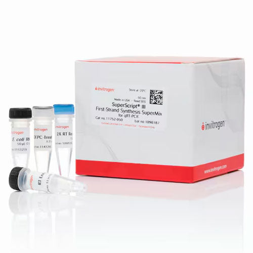 31023. SUPERSCRIPT III FIRST-STRAND SYNTESIS SUPERMIX FOR QRT-PCR 50 R ...