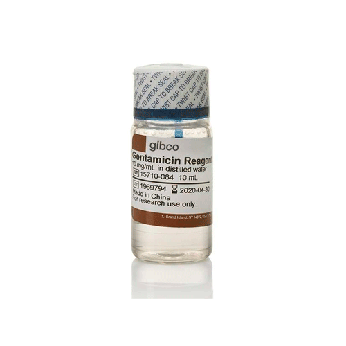 27340. GENTAMICINA (10MG/ML) 10ML GIBCO – CTR Scientific