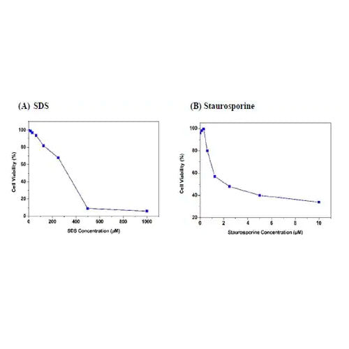 29874. CELL COUNTING KIT 8 (WST-8/CCK8) 1000 TESTS ABCAM – CTR Scientific