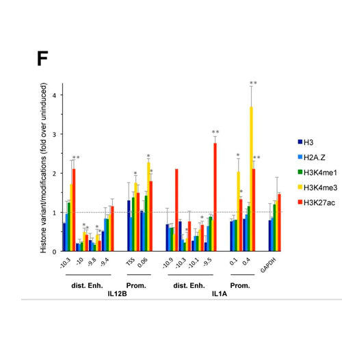 29858. ANTI-HISTONE H2A.Z ANTIBODY-CHIP GRADE 100UG ABCAM – CTR Scientific