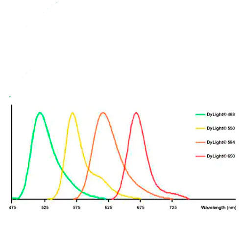 23918. SHEEP ANTI-RABBIT IGG H&L (DYLIGHT 488) 500UG ABCAM – CTR Scientific