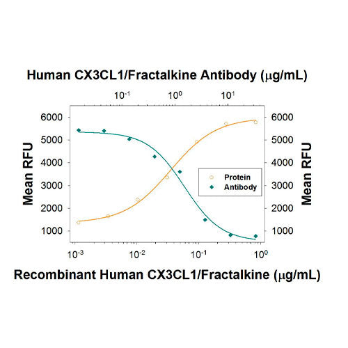 29571. HUMAN CX3CL1/FRACTALKINE CHEMOKINEÂ DOMAIN ANTIBODY 100UG R&D S ...