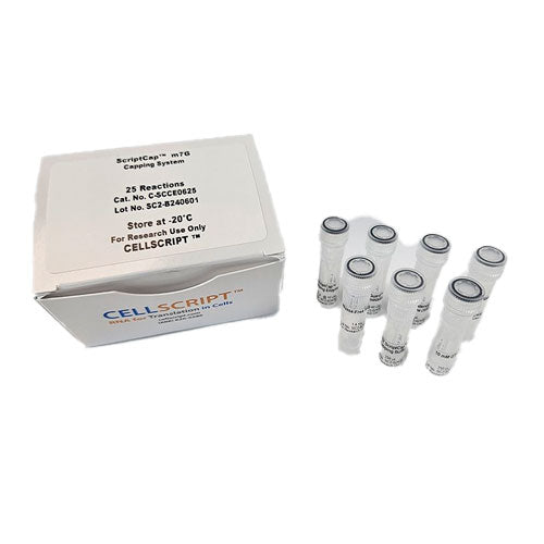 51234. SCRIPTCAP M7G CAPPING SYSTEM 25 REACCIONES - CELLSCRIPT – CTR ...