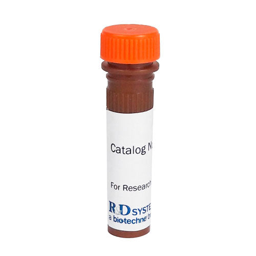 29005. HUMAN CD8 ALPHA ALEXA FLUOR 405-CONJUGATED ANTIBODY 100UG R&D S ...