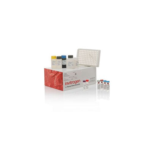 50458. HUMAN TNF ALPHA ELISA KIT 5 X 96 TESTS - INVITROGEN – CTR Scientific