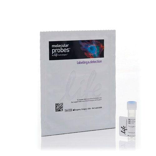 29107. RODAMINA FALOIDINA 300U INVITROGEN – CTR Scientific