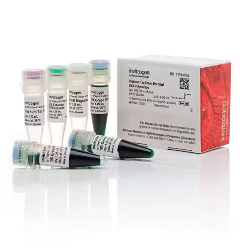 26787. ADN POLIMERASA HOT START PLATINUM TAQ GREEN 600 REACCIONES INVI ...