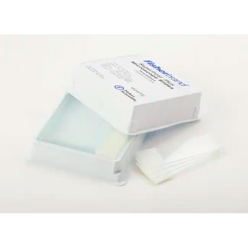 26553. PORTAOBJETOS 25X75MM SUPERFROST PLUS C/SUPERFICIE P/ETIQUETAR C – CTR Scientific