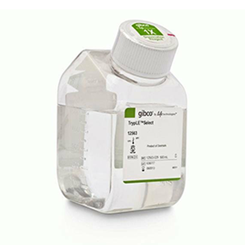 5935. ENZIMA TRYPLE SELECT (1X) SIN ROJO FENOL 500ML - GIBCO – CTR ...