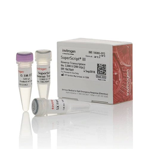 4507. SUPERSCRIPT III TRANSCRIPTASA INVERSA 2000U - INVITROGEN – CTR ...