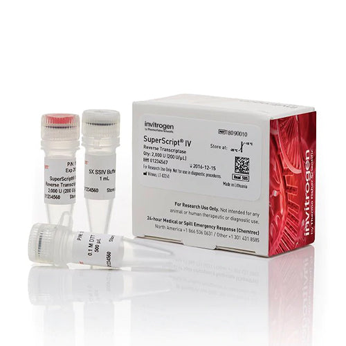 3566. TRANSCRIPTASA INVERSA SUPERSCRIPT IV 2000U - INVITROGEN – CTR ...