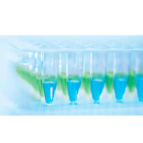 25811. KIT QUANTINOVA PCR MULTIPLEX 2500 X 20UL QIAGEN – CTR Scientific