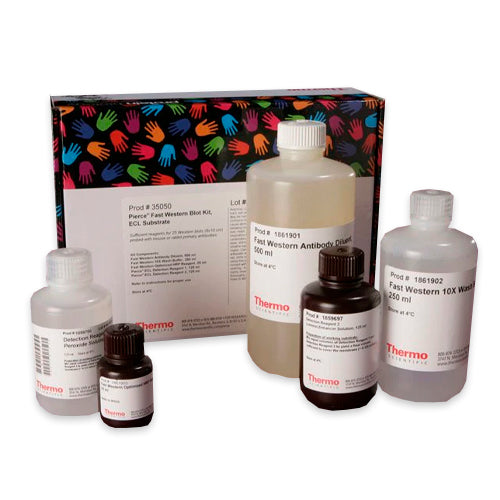 10442. FAST WESTERN BLOT KIT ECL SUBSTRATE 1LT - PIERCE – CTR Scientific