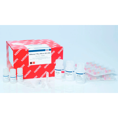 25800. KIT DE PURIFICACION RAPIDA RNEASY PLUS 50 PREPARACIONES QIAGEN ...