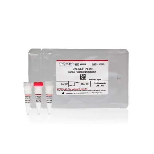 12824. KIT DE REPROGRAMACION SENDAI CYTOTUNE-IPS 2.0 - INVITROGEN – CTR ...