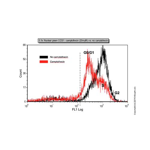 22756. CELL CYCLE ASSAY KIT (FLUOROMETRIC - GREEN) 100 TESTS ABCAM ...