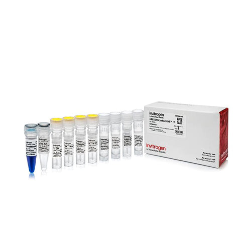 4784. KIT DE TRANSCRIPCION MMACHINE T7 ULTRA 25 REACCIONES - APPLIED B ...
