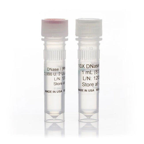 4459. ADNASA I (SIN ARNASA) 2000U - AMBION – CTR Scientific