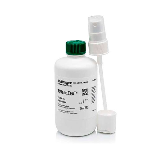 11908. RNASEZAP, RNASE DECONTAMINATION SOLUTION 250ML - INVITROGEN ...