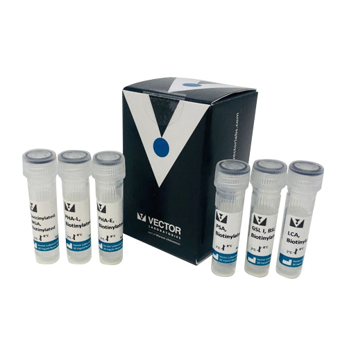 5227. LECTIN KIT II, BIOTINYLATED - VECTOR – CTR Scientific