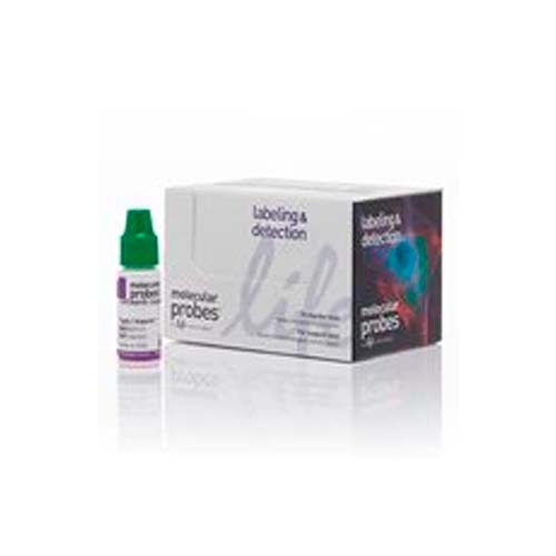 15779. ENZCHECK CASPASE-3 ASSAY KIT #2 Z-DEVD-R110 SUBSTRATE 500 ASSAY – CTR Scientific