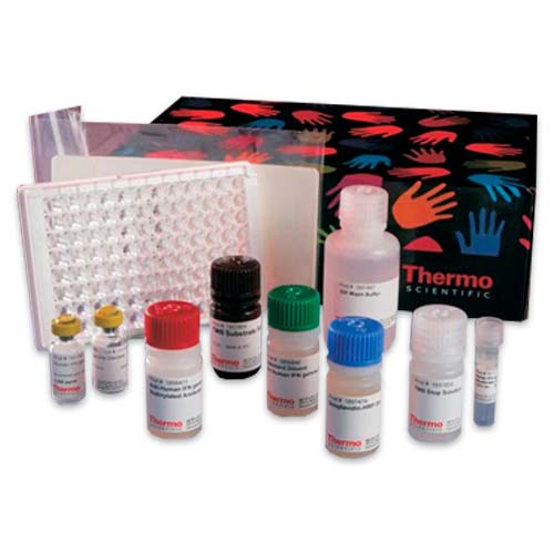 15784. IL-6 HUMAN ELISA KIT 96 TESTS - INVITROGEN – CTR Scientific