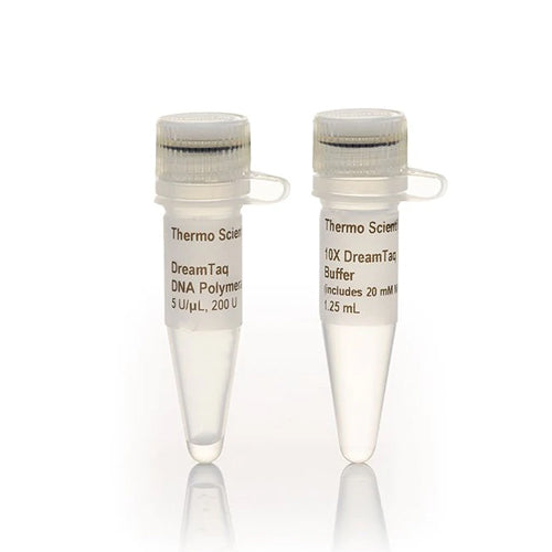 4574. ADN POLIMERASA DREAMTAQ 5U/UL 200U - THERMO SCIENTIFIC – CTR ...