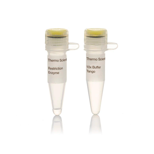 18226. ENZIMA DE RESTRICCION NCOL (10U/UL) 500U - THERMO SCIENTIFIC ...