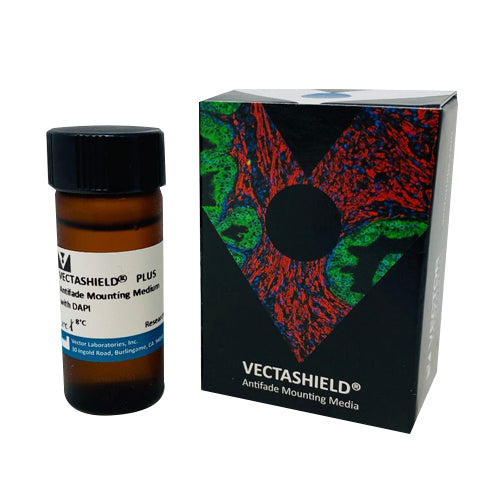 5264. VECTASHIELD PLUS ANTIFADE MOUNTING MEDIUM WITH DAPI 10ML - VECTO ...