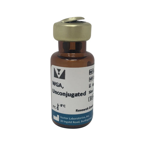 5270. WHEAT GERM AGGLUTININ (WGA) UNCONJUGATED 10MG - VECTOR – CTR ...