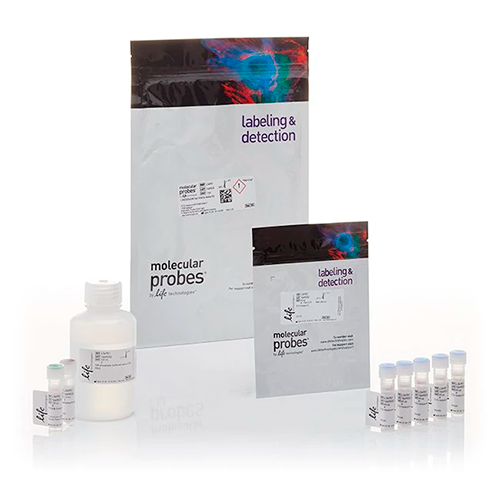 6191. KIT DE ENSAYO DE VITALIDAD CELULAR LIVE/DEAD C12-RESAZURINA/SYTO ...