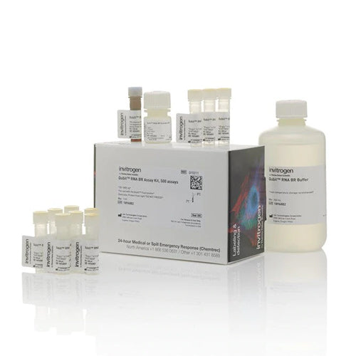 3143. KIT DE ENSAYO BR DE RNA QUBIT QUANTIT 500 PRUEBAS - INVITROGEN ...
