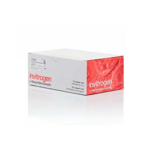 20387. PCDNA 3.1(+) MAMMALIAN EXPRESION VECTOR 20UG - INVITROGEN – CTR ...